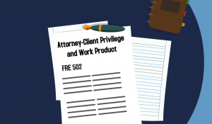 Privilege Logs - Why They’re Important | LITeGATION